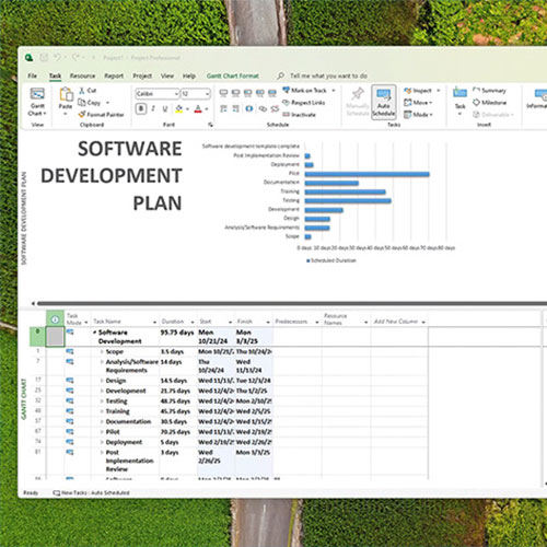 Buy Microsoft Project Professional 2024 BIND Cd Key Global